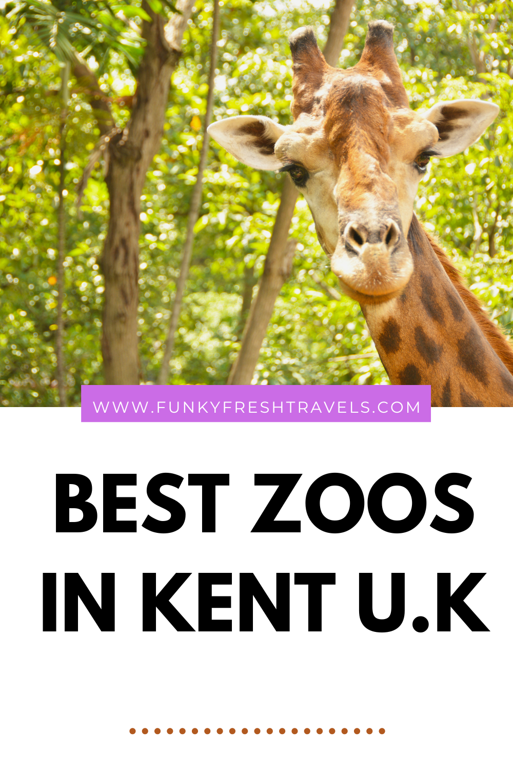6 Best Zoos And Wildlife Parks Kent UK [Family Award 2025]